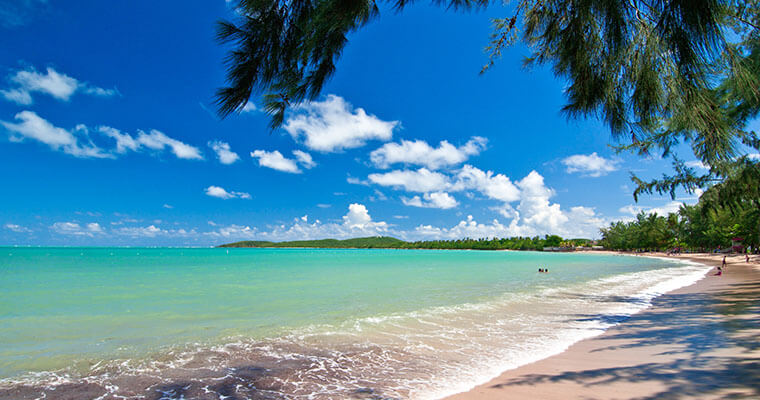 Intertek PSI Toa Baja